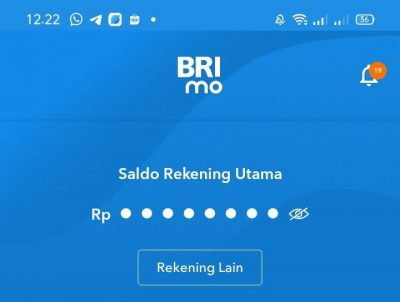 Cara Cek Saldo di BRImo Paling Aman